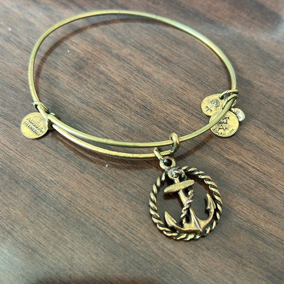 Alex and Ani | Jewelry | Alex And Ani Anchor With Rope Bangle Gold ...